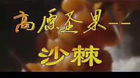 沙棘的功效与作用