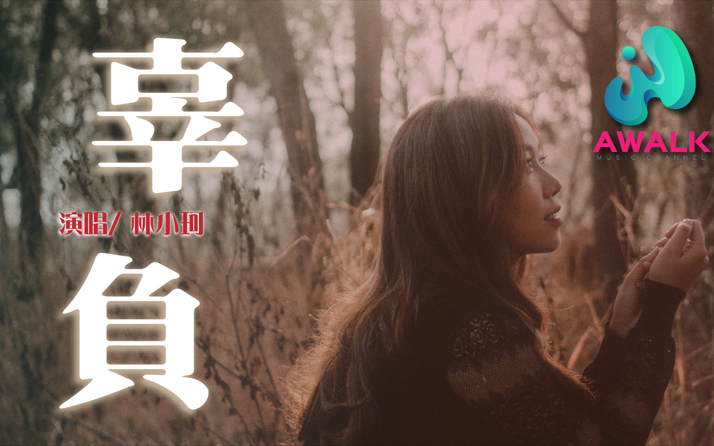 林小珂 - 辜负【动态歌词 | Pinyin Lyrics】