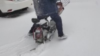 下雪天的 电动车现状:真·横着走