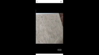 假分数的加减乘除的运算方法