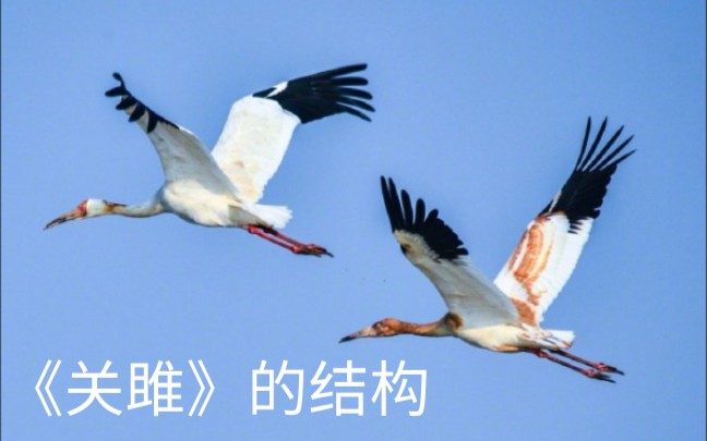 《关雎》是典型的“重章叠句”么?如果不是!那为什么呢?