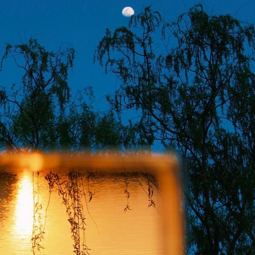 陈去病的申论小课堂 