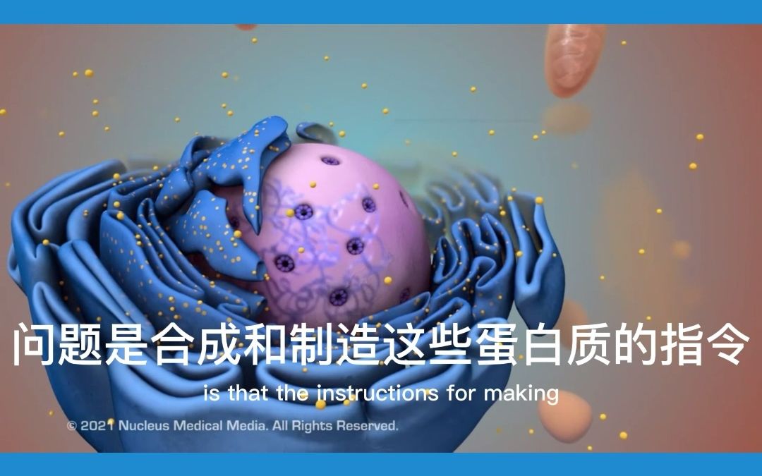 什么是遗传信息的转录?为什么说它很重要?