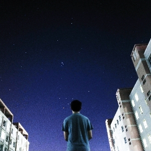 天书琦谈theo 