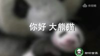 大熊猫科普短视频