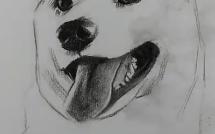 【素描教程简单学】美院老师让你轻松学会画狗9--素描零基础入门教程