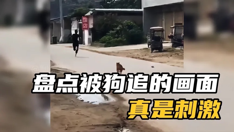 盘点那些被狗追的画面,真的太刺激了 你有被追过吗