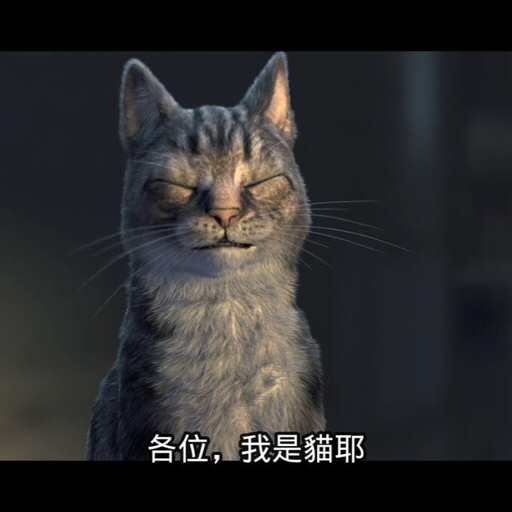 爱看电影的阿喵 