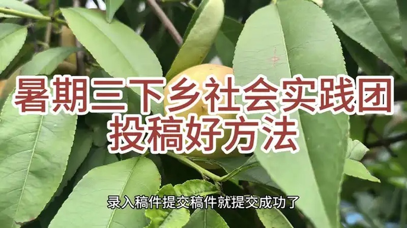 暑期三下乡社会实践团投稿好方法