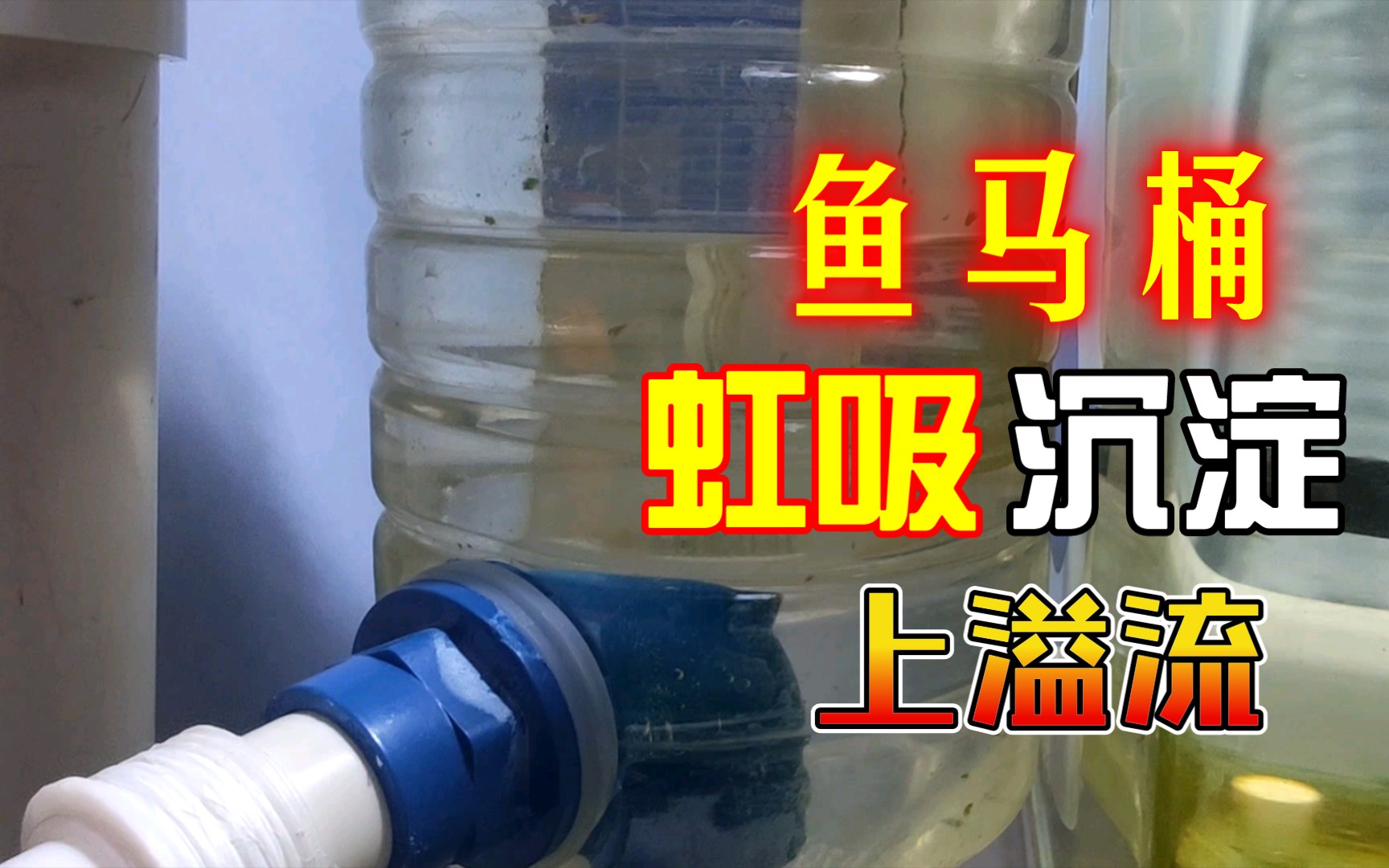 鱼马桶虹吸沉淀溢流运行良好,双缸连接用底滤需要注意这些细节!