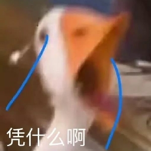 番茄狂魔不吃辣x 