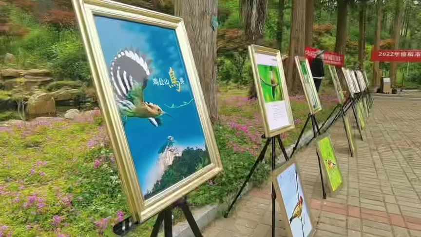 信阳市开展“国际生物多样性日”保护宣传活动#河南环境