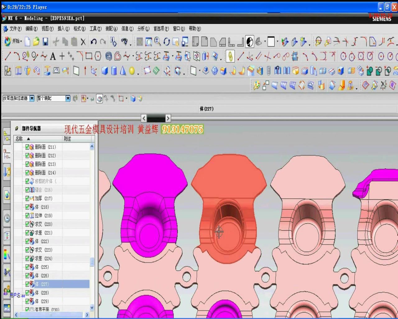 dynaform实例视频1