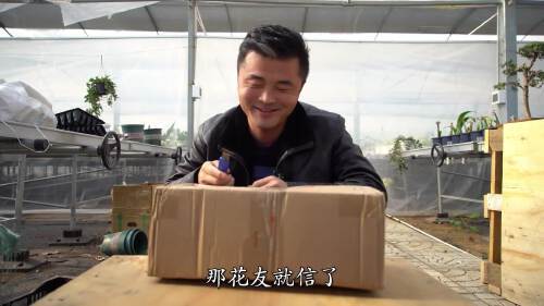 养花其实很简单!排水透气是关键!