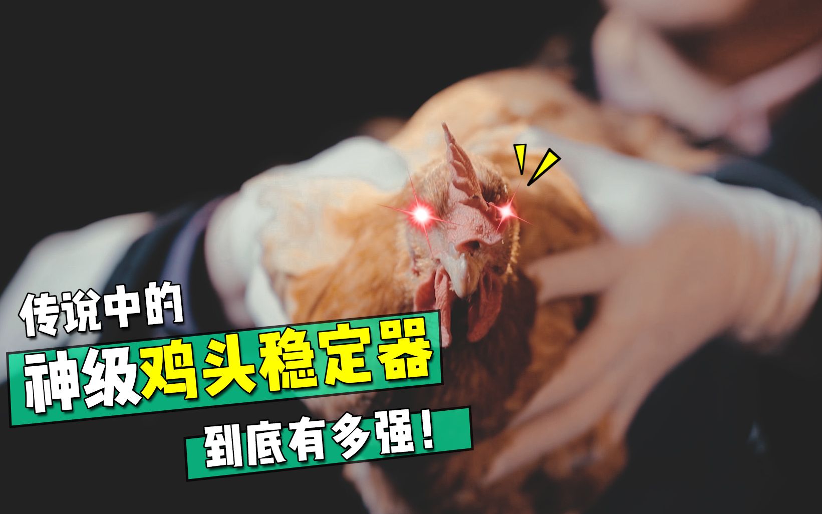 传说中的神级鸡头稳定器,到底有多强?