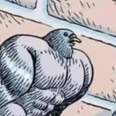 追梦の物 