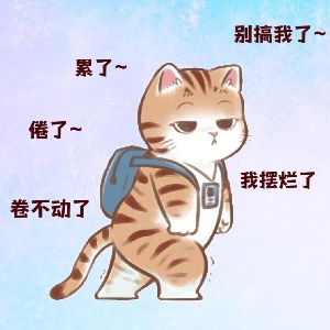 小王没摸鱼 