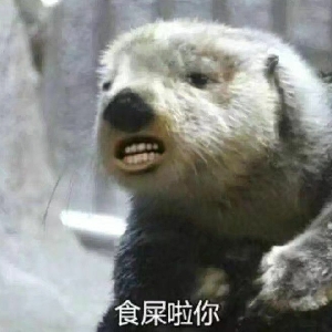 扬子鳄J 