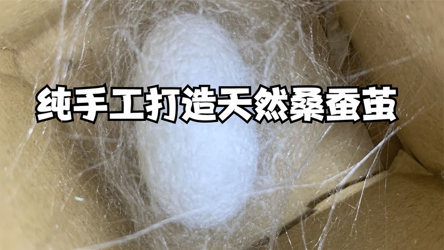 蚕宝宝是怎么样做蚕茧的?