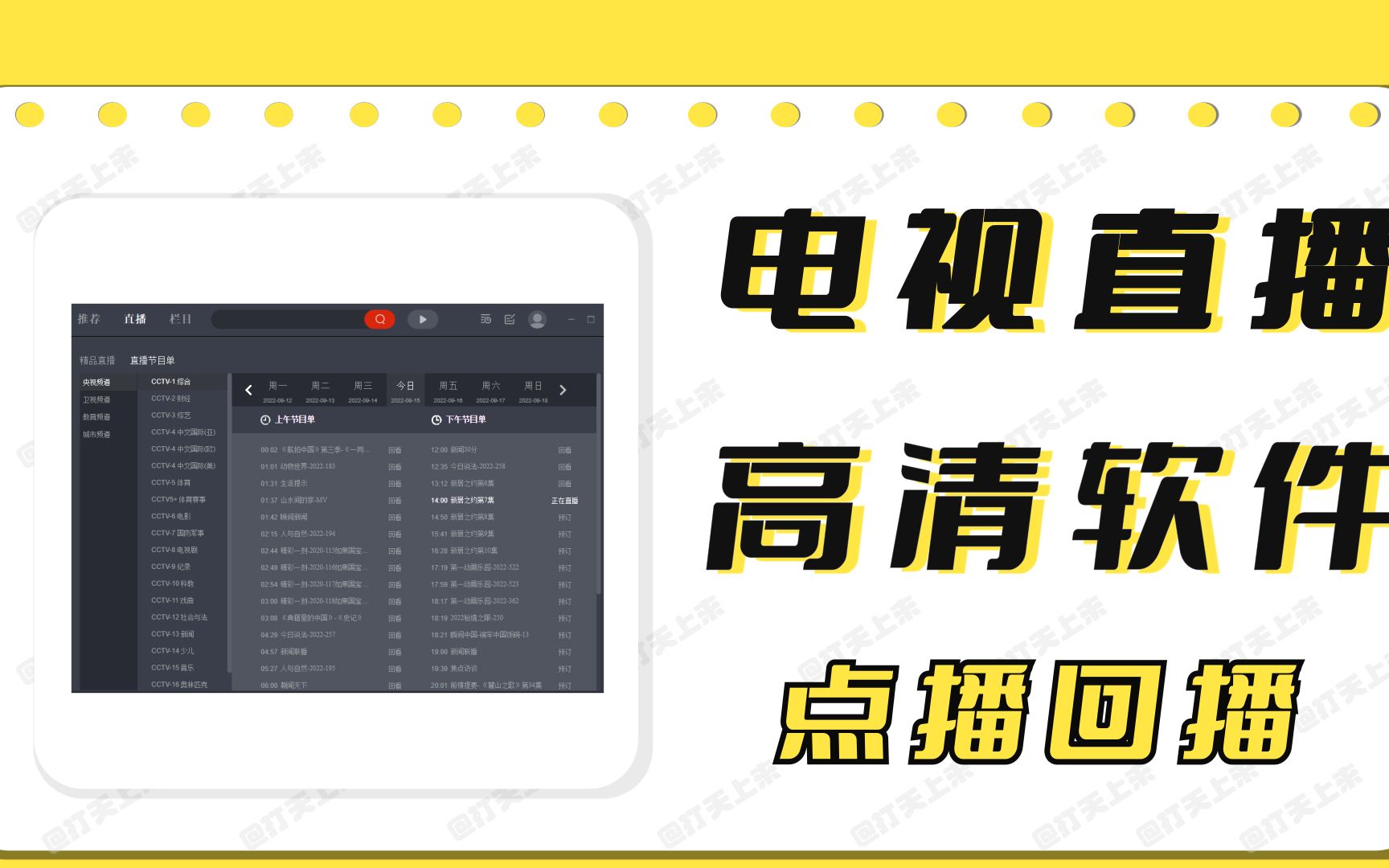 电脑看电视直播好软件,支持回播点播随您选!