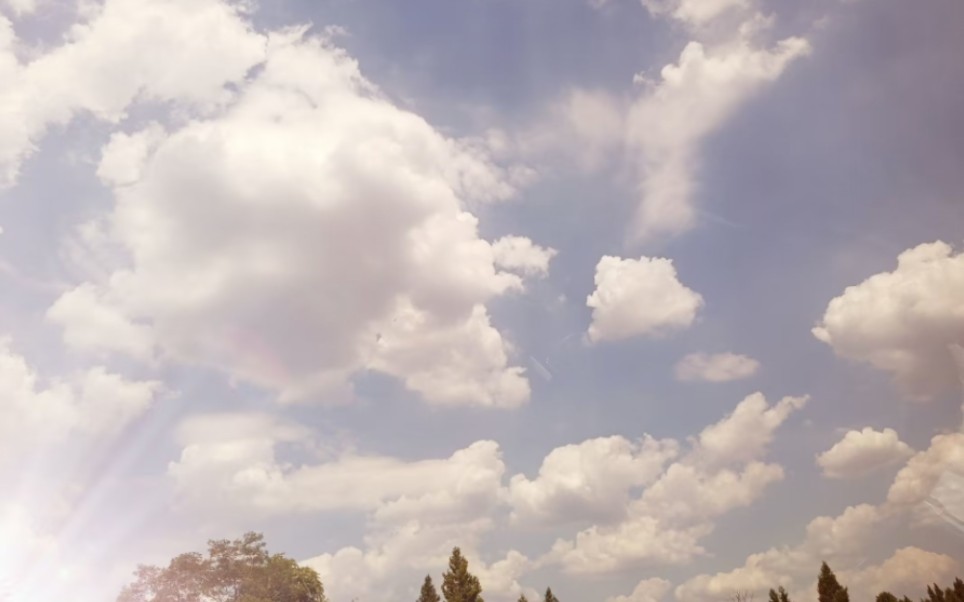 句子的美丽用词总是这么富有魅力,愉悦身心～