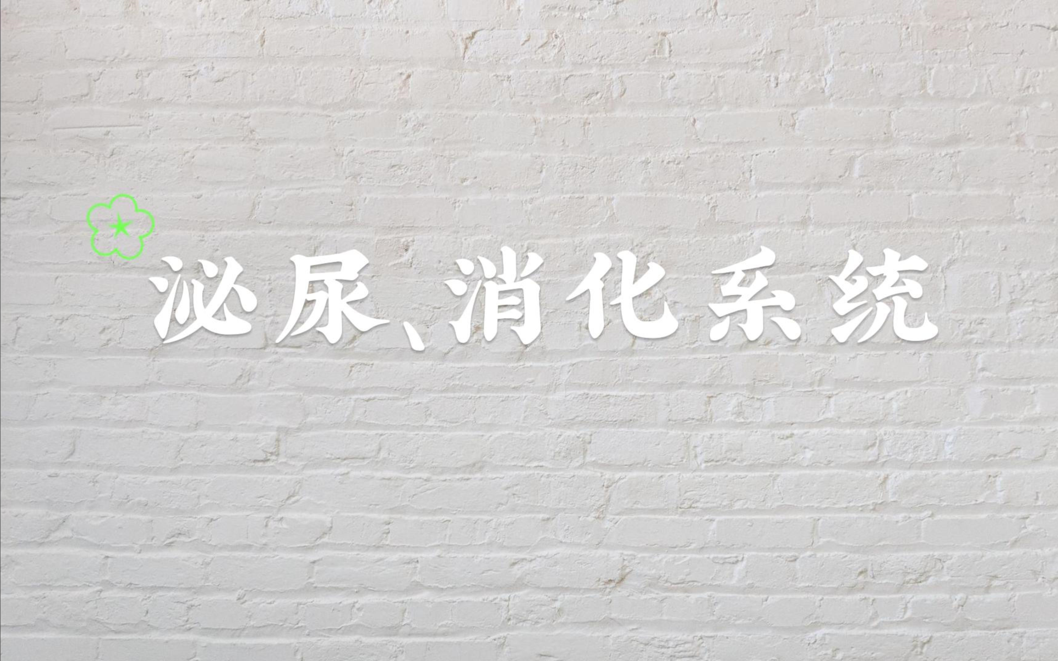 泌尿、消化系统-3D模型动画(学习自用)