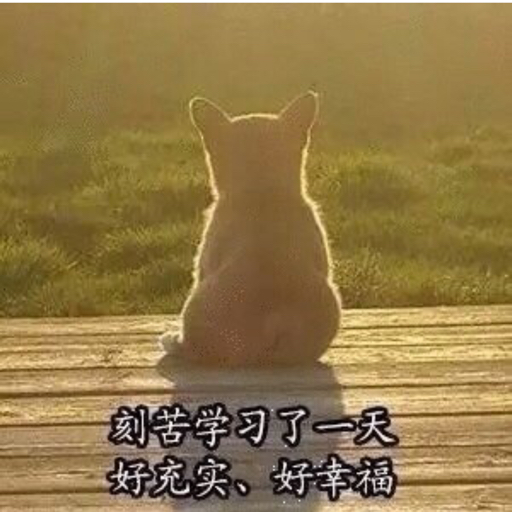 晓冬瓜呀 