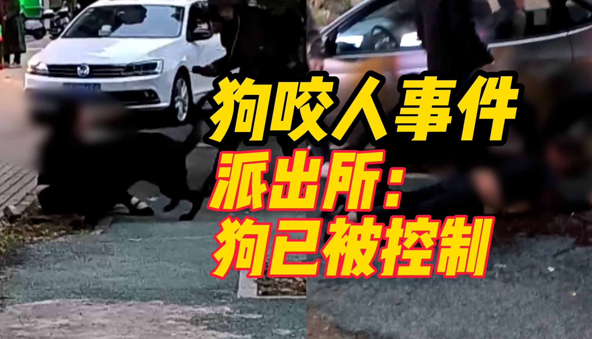 派出所回应湖南湘潭发生狗咬人事件:狗已被控制,会有通报