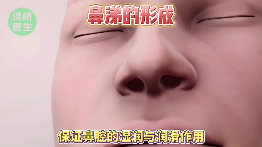 人体的奥秘:一感冒了就会流鼻涕!鼻涕是怎么产生的?看完涨知识