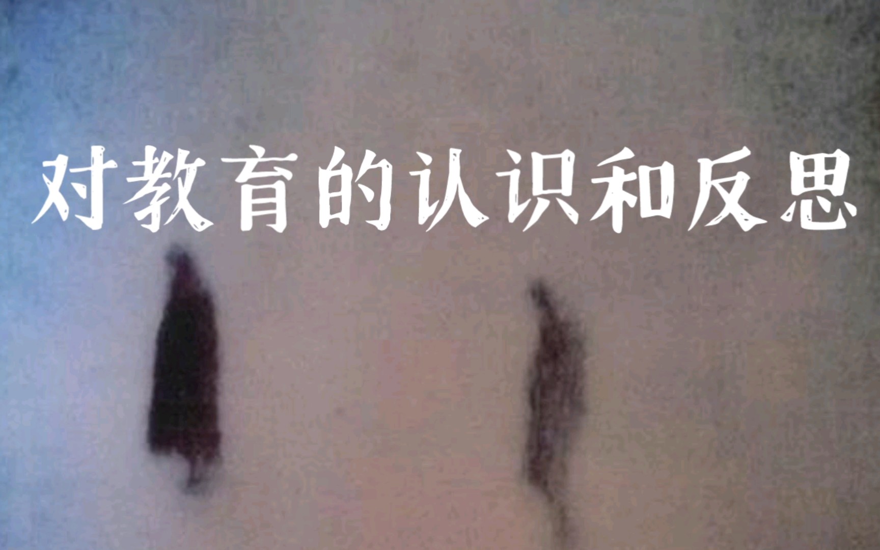 对教育的认识与反思(摘抄)