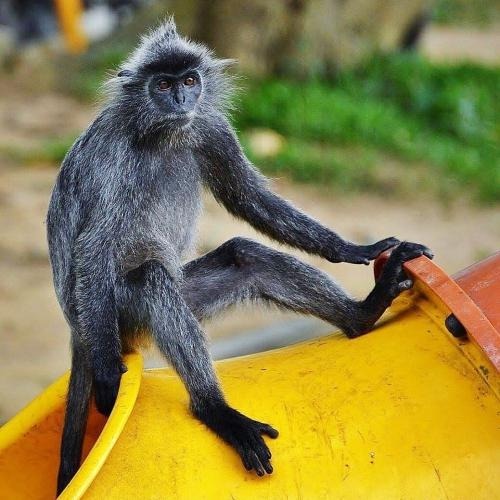 不要让别人扶你