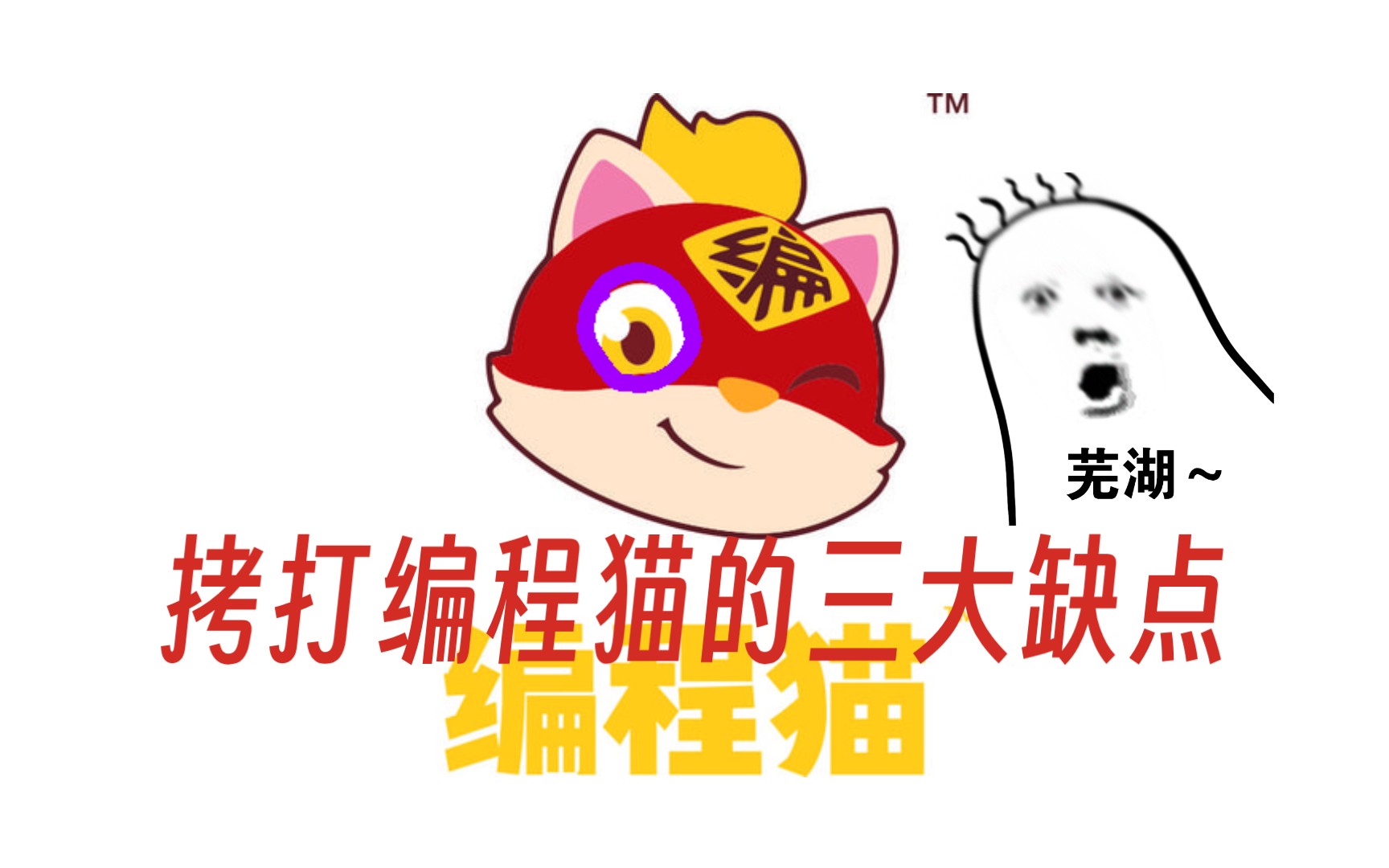 拷打编程猫:揭露三大罪行!