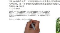 花椒种植园智慧农业物联网项目建设方案.mov