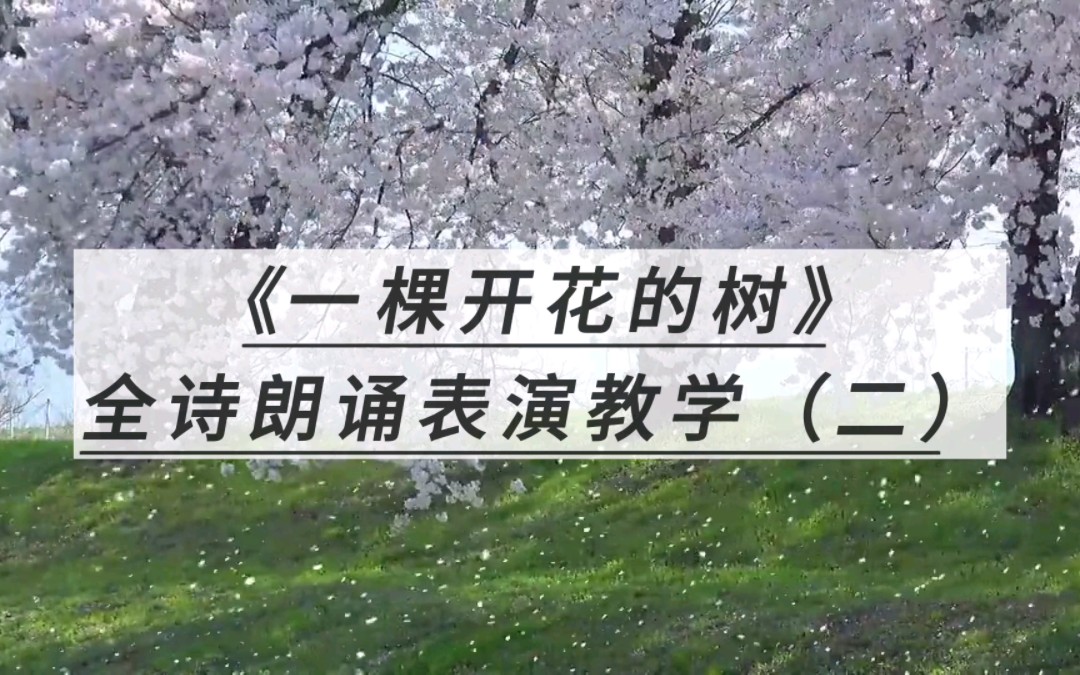 零基础学朗诵《一棵开花的树》