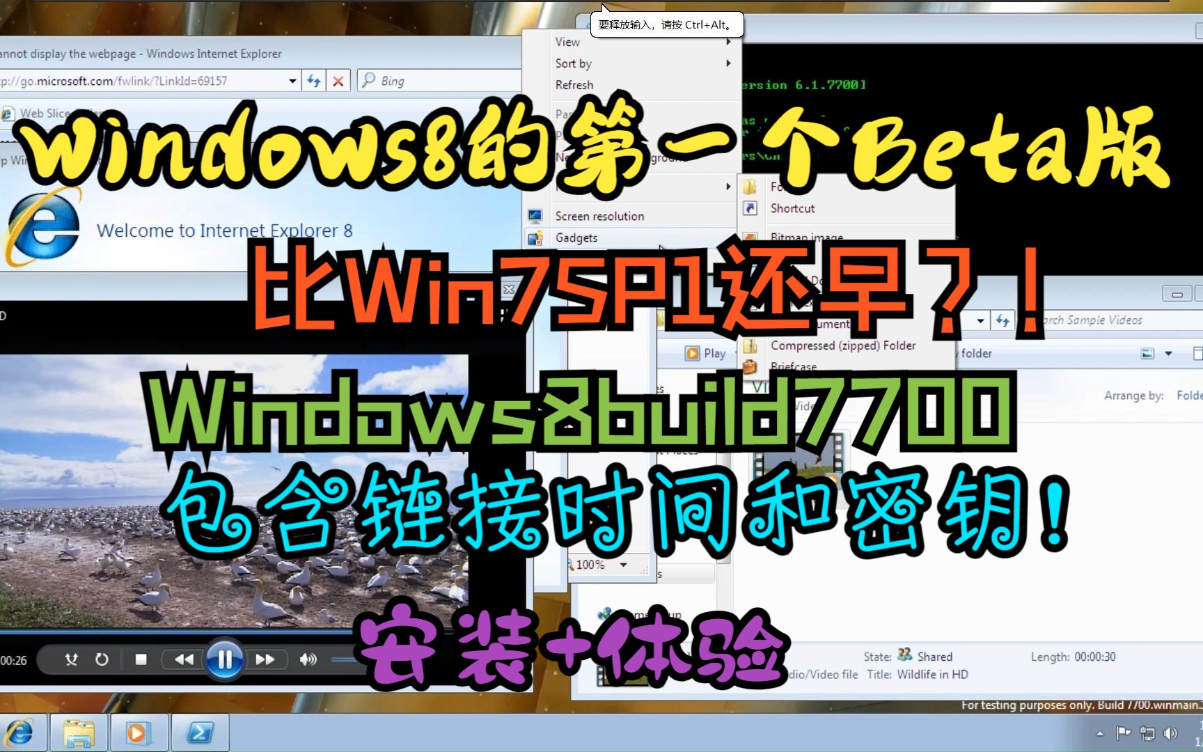 比Win7SP1还早的Win8Beta版,还是Aero主题!,beta鱼再次出现!...