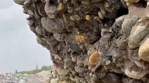 河南小伙去户外挖玉,每天都要泡在水里,也是挺不容易的!