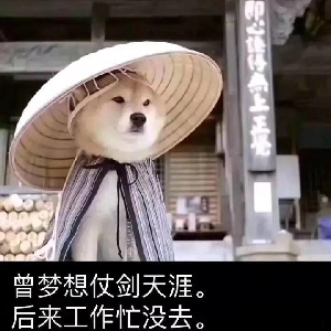 每日一哈嘿 
