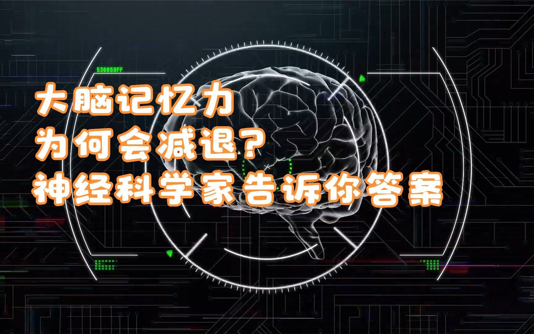 大脑记忆力为何会减退?神经科学家告诉你答案