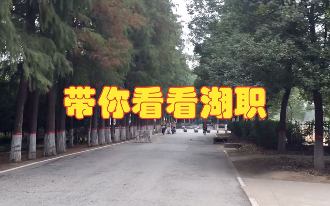 孝感的大学——湖北职业技术学院,这里风景如画!