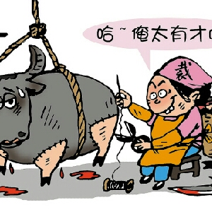 二把刀裁缝光子 