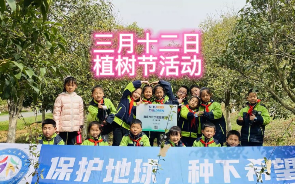 节日|同学相约,植此青绿!二〇二三年三月十二日植树节活动记录,共同...