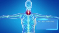 甲状腺结节细针活检穿刺检查(宣教)