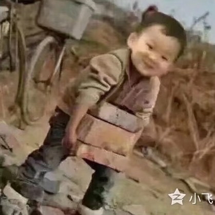 小飞脚本 