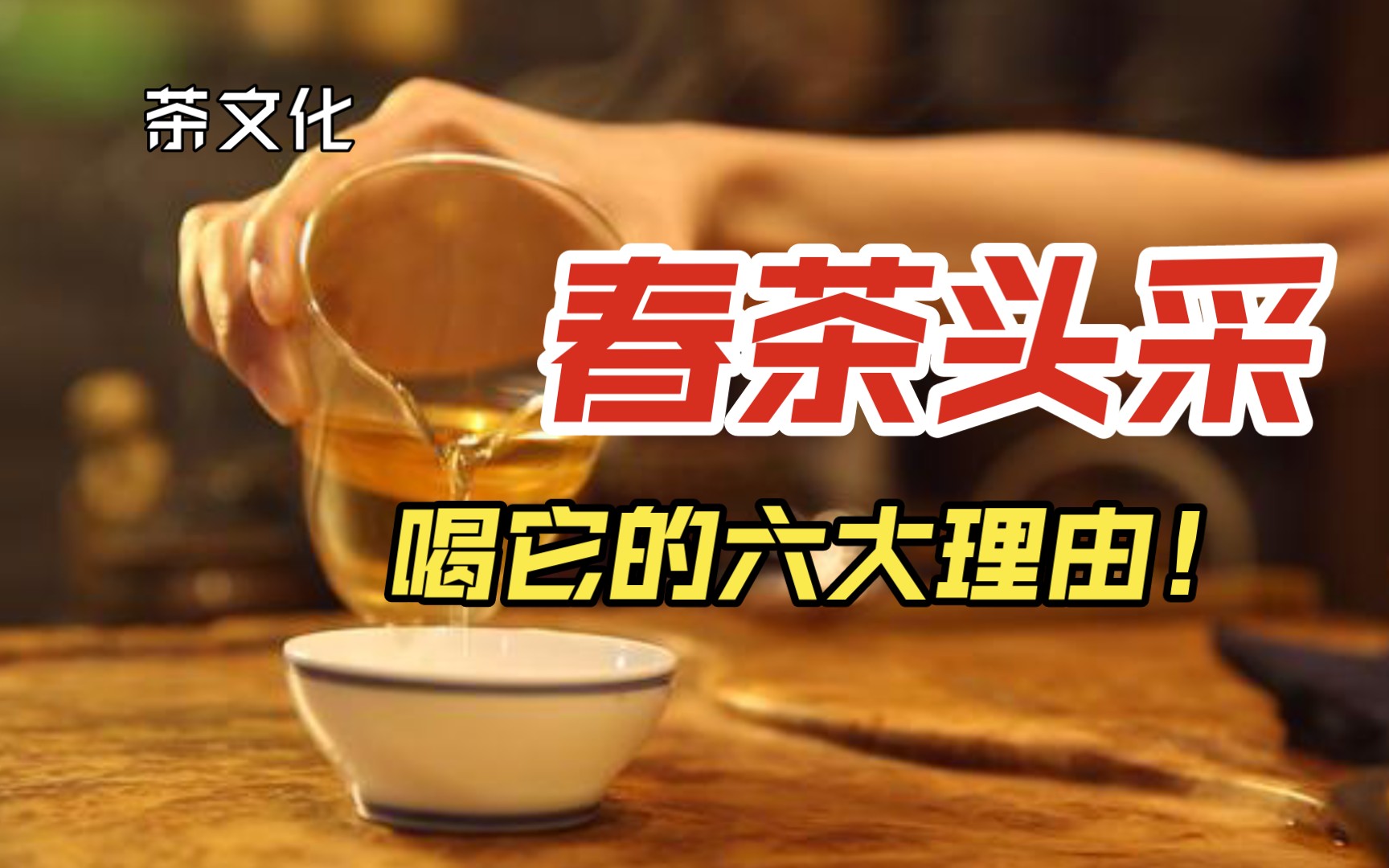 〔茶文化〕告诉你喝春茶头采的六大理由!