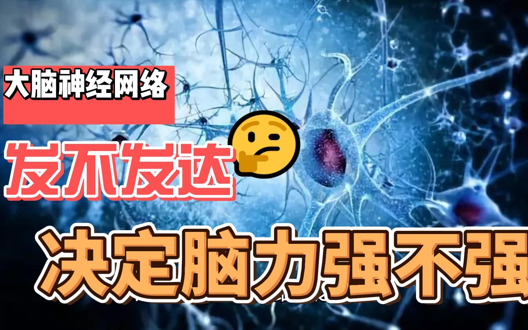 科普丨记忆力脑力强不强看脑神经网络发不发达