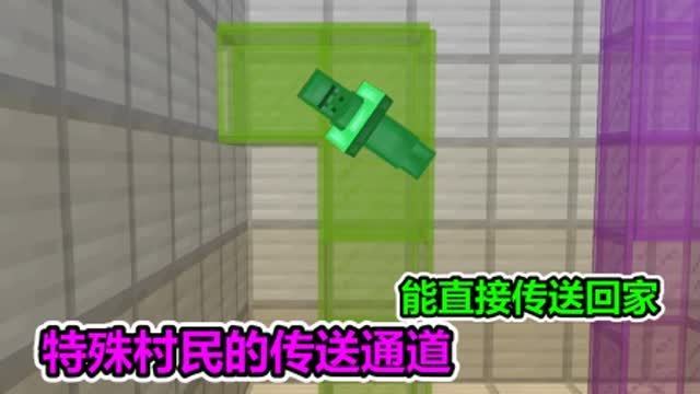 MC我的世界:特殊村民的传送通道,可以前往他们老家