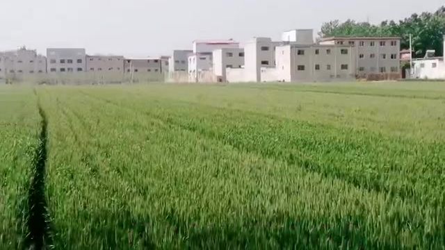 武汉清零第4天,美国新冠病毒过百万第2天,为啥中国不怕粮食封锁