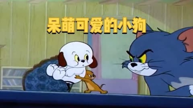 猫和老鼠 呆萌可爱的小狗