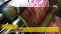 不干胶模切机 标签模切机 轮转模切机 圆刀模切机 间歇模切机-荣劲