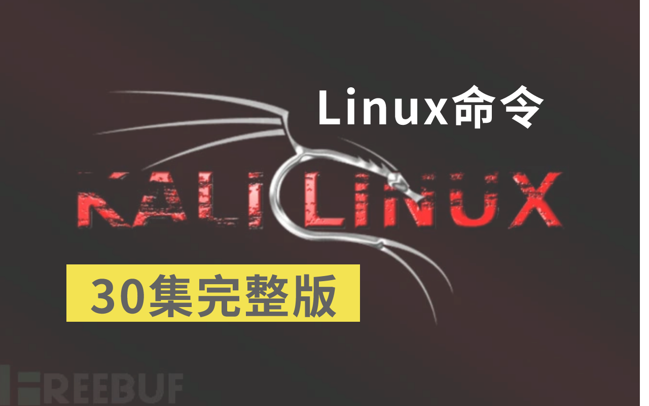 【Kali Linux命令】2024年最新网络安全基础Linux系统详细数据学习,...